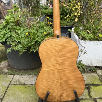 Hofner 486 50's | Reverb