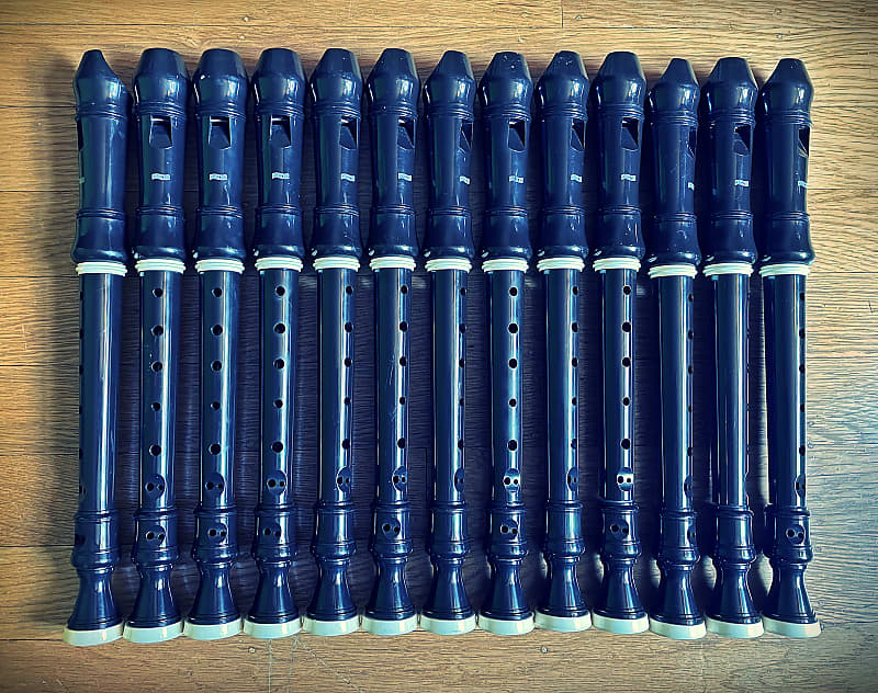 13-Recorder Lot made by Hohner [$429 value!] | Reverb