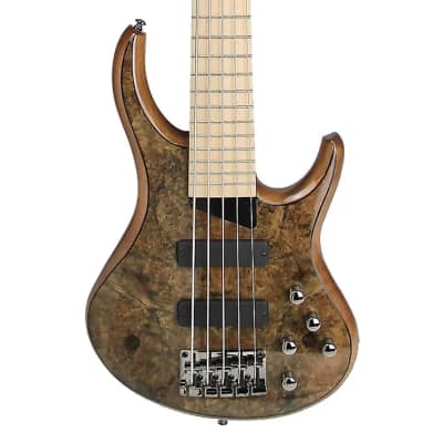 MTD Kingston ZX5 5-String Bass Guitar w/Maple FB - Trans | Reverb