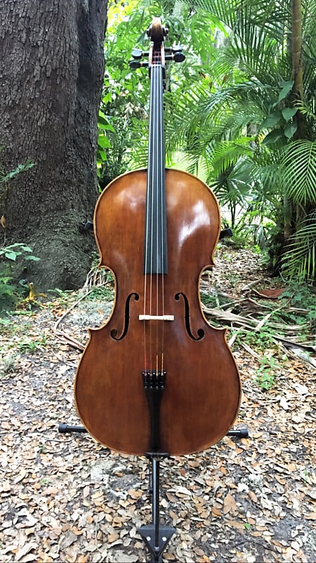 Miami String Haddock Cello 2019 Brown | Reverb