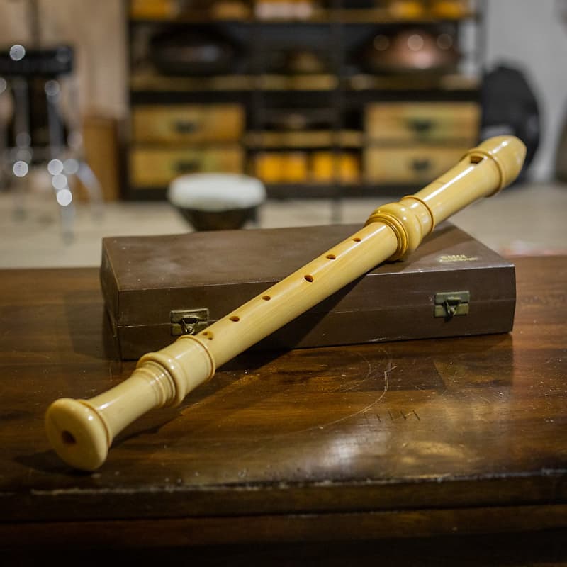 Moeck Rottenburgh Model 249 Tenor Recorder, Maple - Used | Reverb