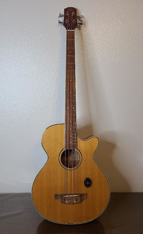 Rogue Acoustic /Electric Bass AB304S | Reverb