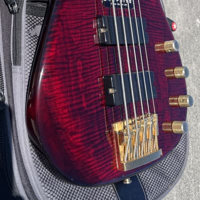 1996 Modulus Quantum 5 string bass super lightweight | Reverb