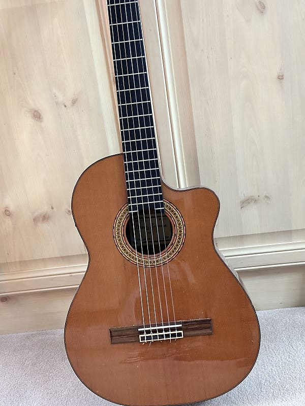 Raimundo 660e | Reverb