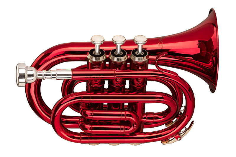 STAGG Bb Pocket Trumpet, ML-bore, Brass body material | Reverb