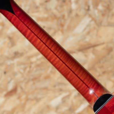 Quint Archtop Octave Mandolin Maple Short Scale Cuyaway CS | Reverb