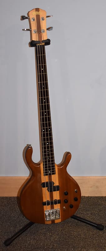 Pedulla Interceptor Fretless (Buzz) Bass... Extremely Rare | Reverb