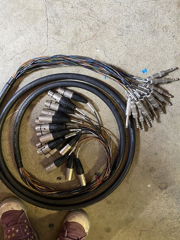 Canare 16 channel snake | Reverb