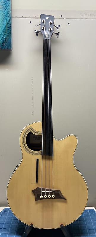 Warwick Fretless Acoustic Alien Bass w/Flatwound Set Up & | Reverb