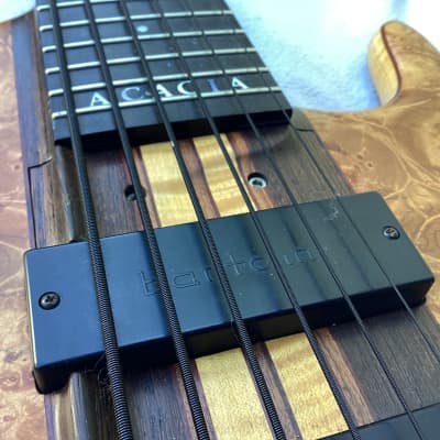Acacia by Matt Friedman Custom 6-String Electric Bass Guitar | Reverb
