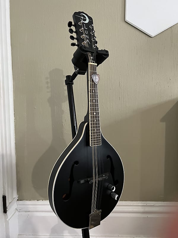 Luna BGM MOON A Moonbird A-Style Mandolin with Electronics & | Reverb