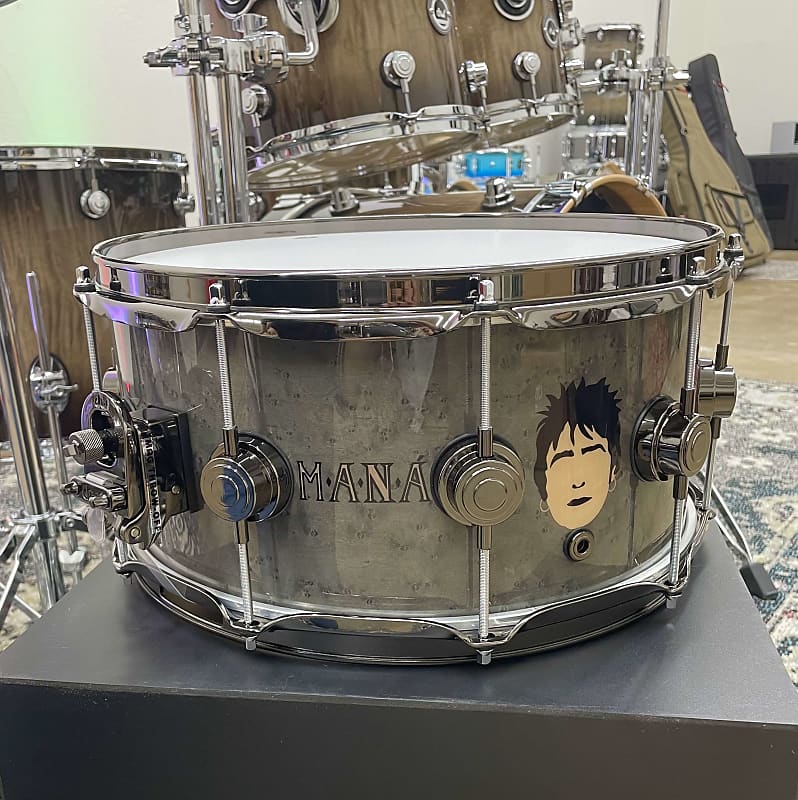 DW Alex Gonzalez ICON Snare Drum 6.5x14 DREX6514SSNAG - Grey | Reverb