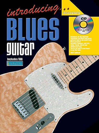 Learn How To Play Guitar - Introducing Blues Guitar - TAB | Reverb UK
