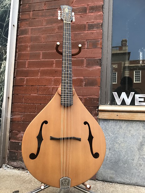 Weber Hyalite Mandocello w/ Hard Shell Case | Reverb