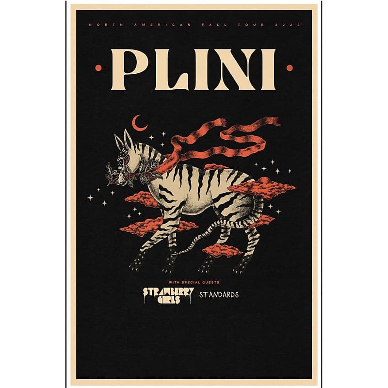 PLINI | STRAWBERRY GIRLS | STANDARDS Tour 2023 Ltd Ed RARE | Reverb