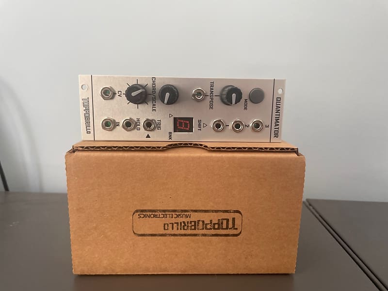 Toppobrillo Quanimator 2020s - Silver | Reverb