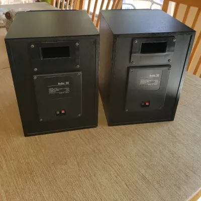 Rare Baltek Audio, Baltic 30, Black Latvian Birch, 1990's, | Reverb