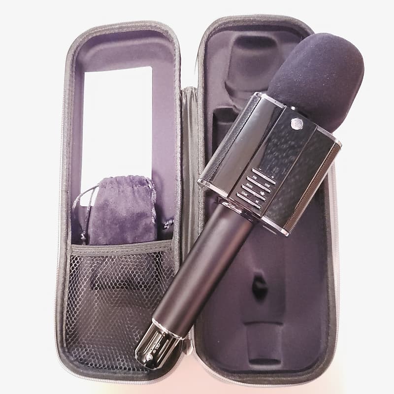 BONAOK G20 Karaoke Microphone & Speaker | Portable Wireless | Reverb