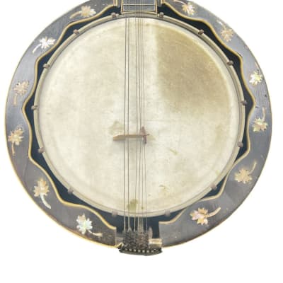 Custom Banjo Banjolin | Reverb