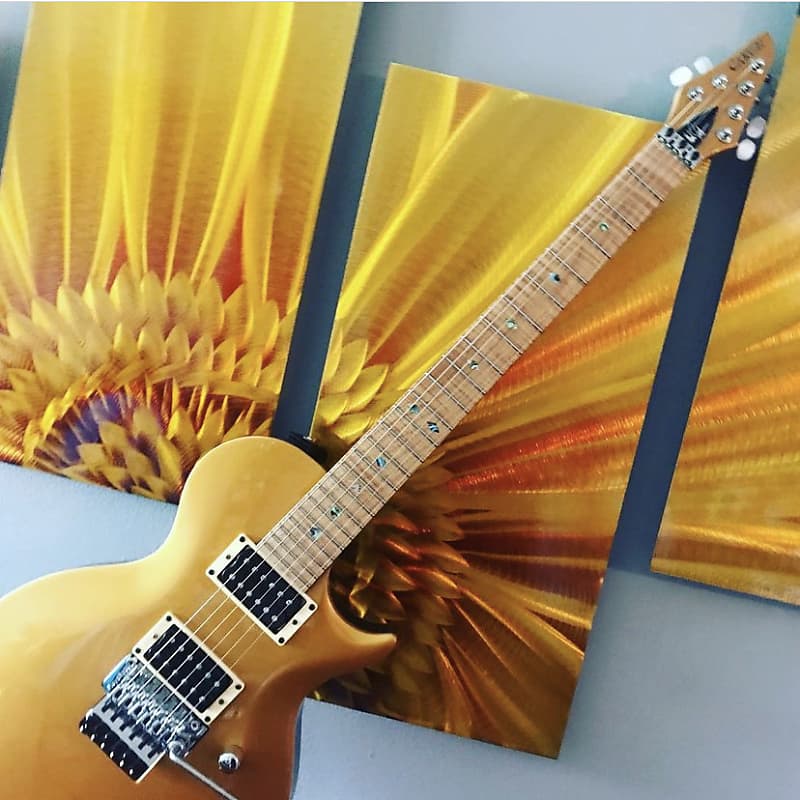 Kiesel CS624 2015 Gold Top | Reverb