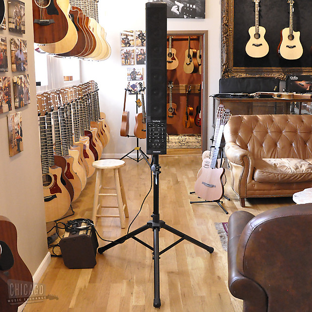 Fishman Pro Amp SL1 Soloamp Acoustic Tower - Used | Reverb