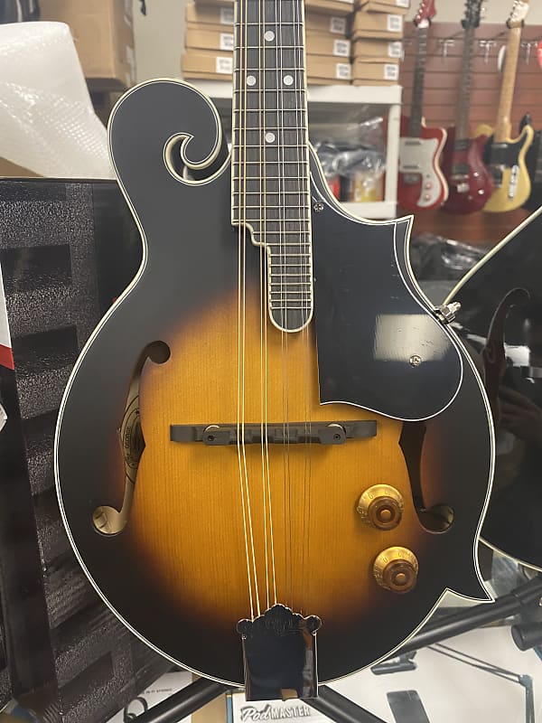 Washburn M3EK Mandolin Kit | Reverb