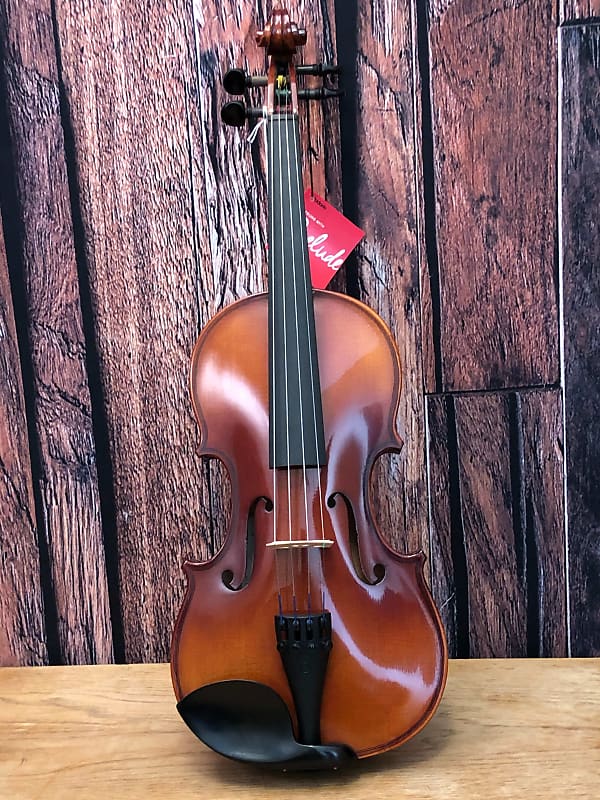 Maple Leaf Strings MLS120 4/4 Size Violin with Case and Bow | Reverb