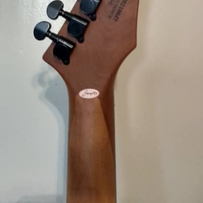 Firefly Bones Shredder Classic with padded Gig Bag | Reverb