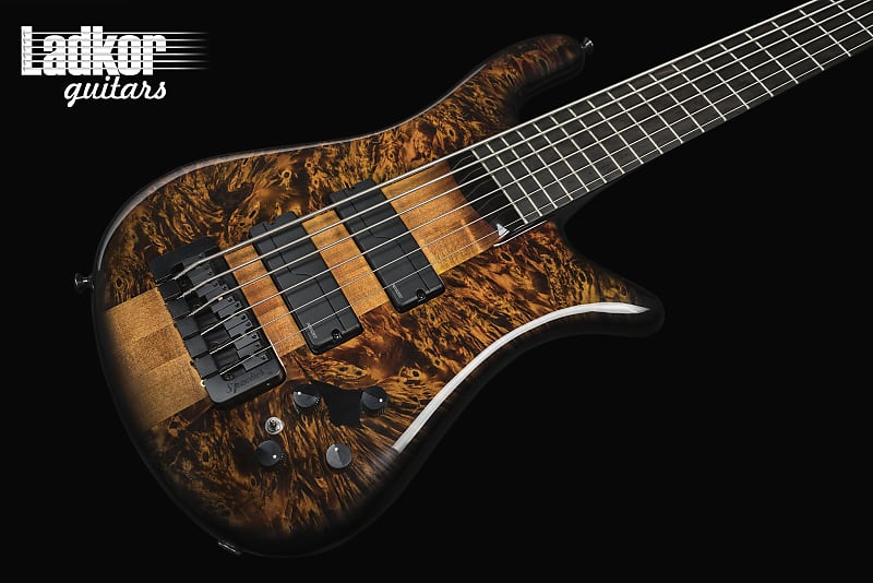 Spector NS-6 XL Ale's Inferno Buckeye Burl Top Redwood | Reverb