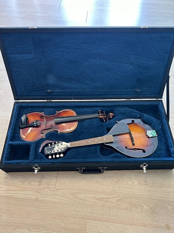 Hardcase that fits a Mandolin and Violin - Black | Reverb
