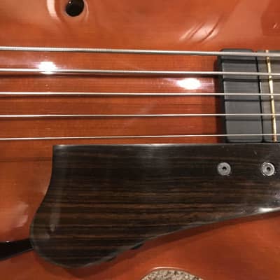 Smith Arch Top 5 String Acoustic Bass | Reverb