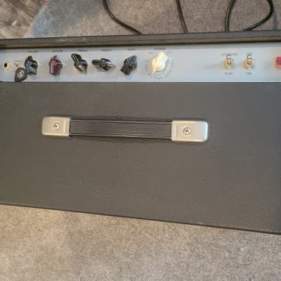 Alessandro Working Dog Boxer 2x10 combo | Reverb