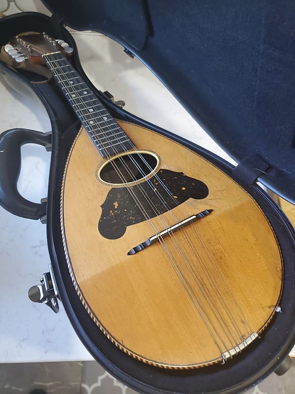 1908 Weymann Mandolin bowl-back with hard case - Brazilian | Reverb