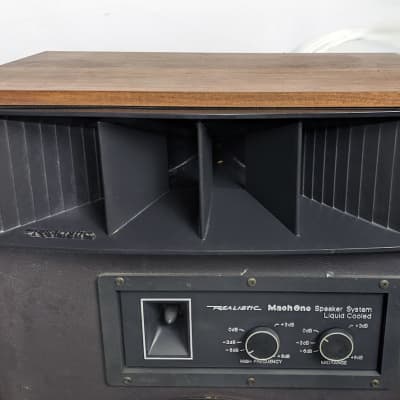 Realistic Mach One 40-4029 Liquid Cooled Floor Speakers | Reverb