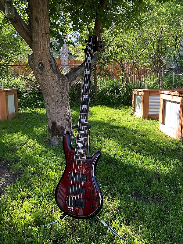 Spector ReBop 5 DLX V Deluxe 2012 Czech | Reverb