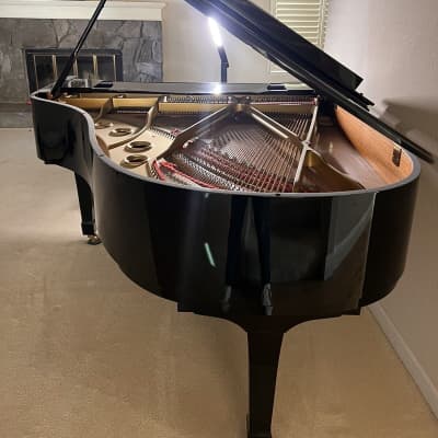 Yamaha C3 Conservatory Grand Piano | Reverb
