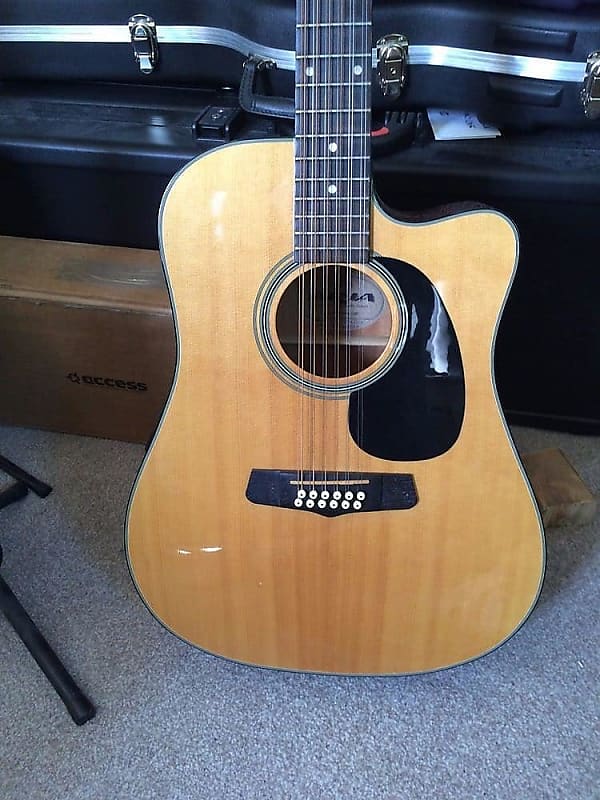 Aria Electro Acoustic Guitar 12 strings in HARD CASE | Reverb