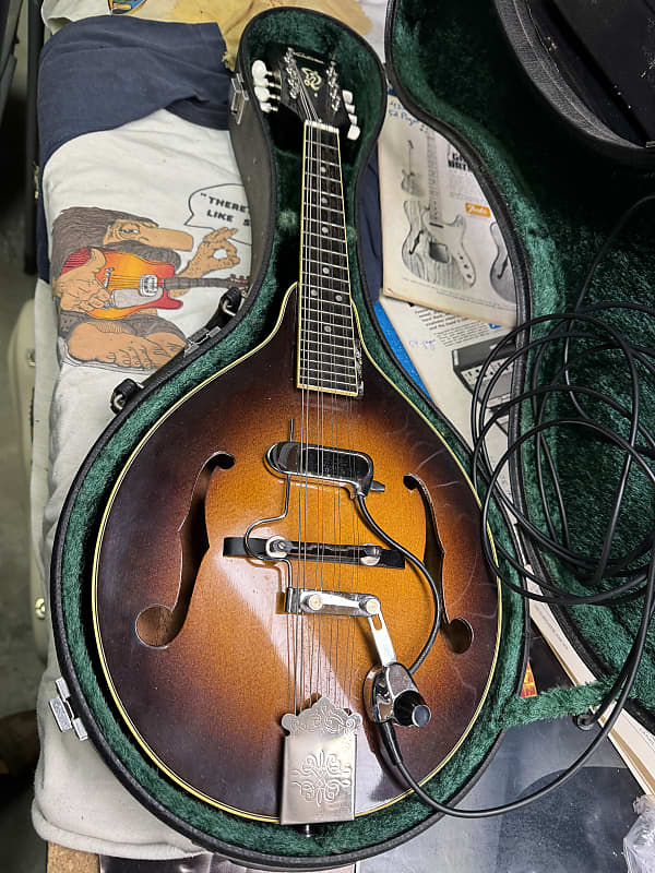 Ventura A Style Mandolin W/De'Armond Pick up#SR-11-74 2000's | Reverb