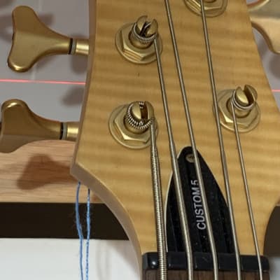 Beautiful Schecter Diamond Series Custom 5 Active Bass & Case | Reverb