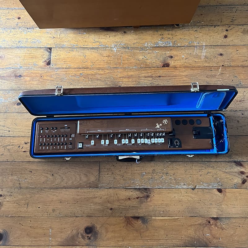 Suzuki Waraku Electric Taishogoto *SUPER RARE* | Reverb