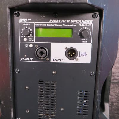 Peavey DM-112 Powered Speaker (Raleigh, NC) | Reverb