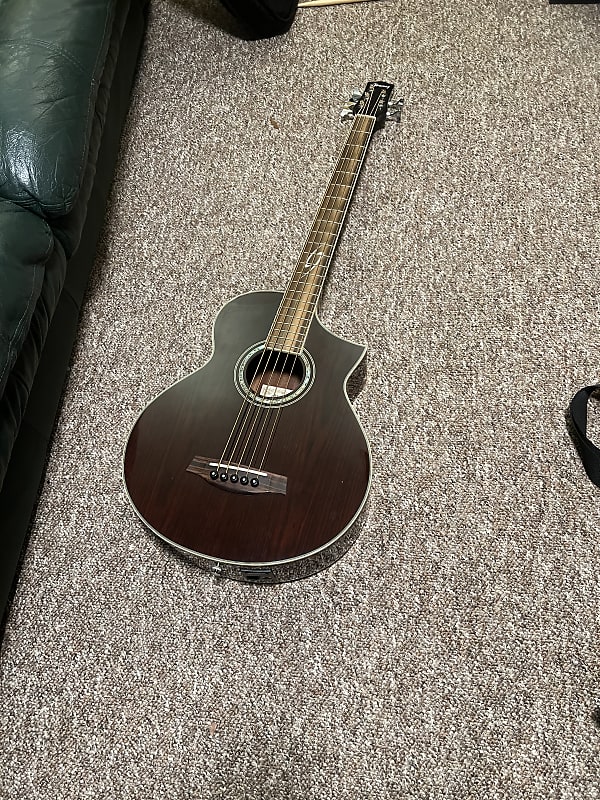 Ibanez 5 String Acoustic Bass EWB205 Exotic Wood Series | Reverb