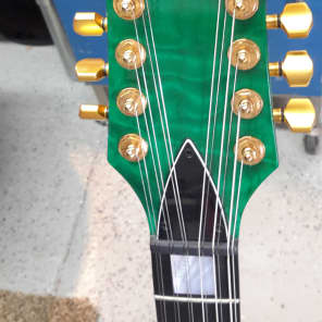 Left handed Carvin 12 String Electric | Reverb