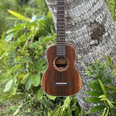 1909 Manuel Nunes Ukulele - Ukulelefriend.com | Reverb
