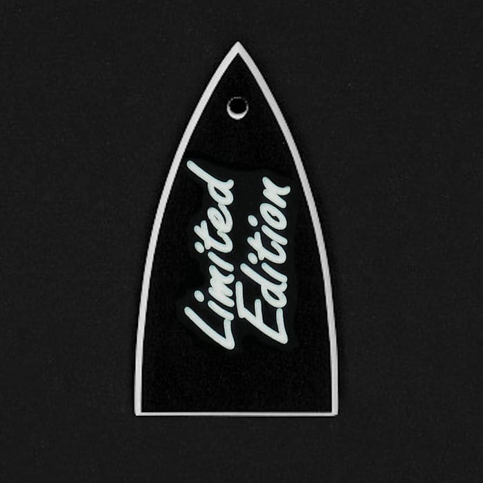 GUITAR TRUSS ROD COVER - Engraved Etched - ESP or LTD - | Reverb