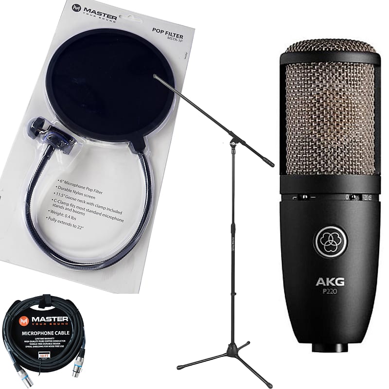 AKG P220 True Condenser Microphone w/ Stand, Cable & Pop | Reverb