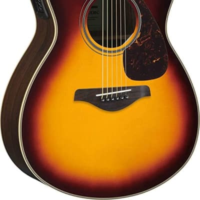 Yamaki 150 Solid Top and Solid Back D35 Japan Vintage Guitar | Reverb