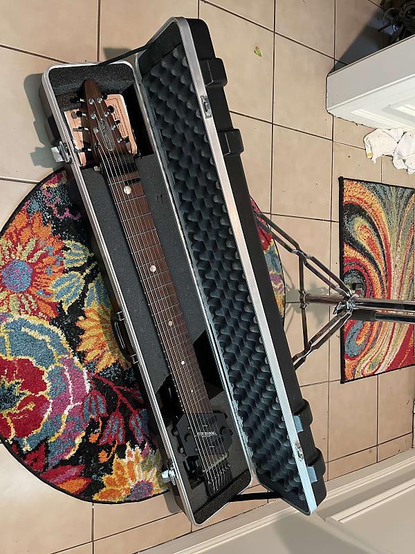 Rare Chapman stick 8 string bass with hard case | Reverb