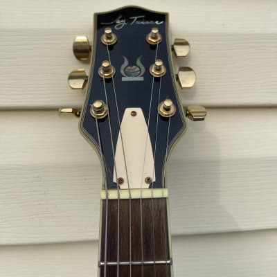 Jay Turser JT-220 Mid-90s - Purple Burst | Reverb