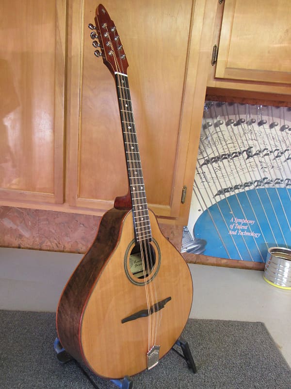 Beard Octave Mandolin | Reverb